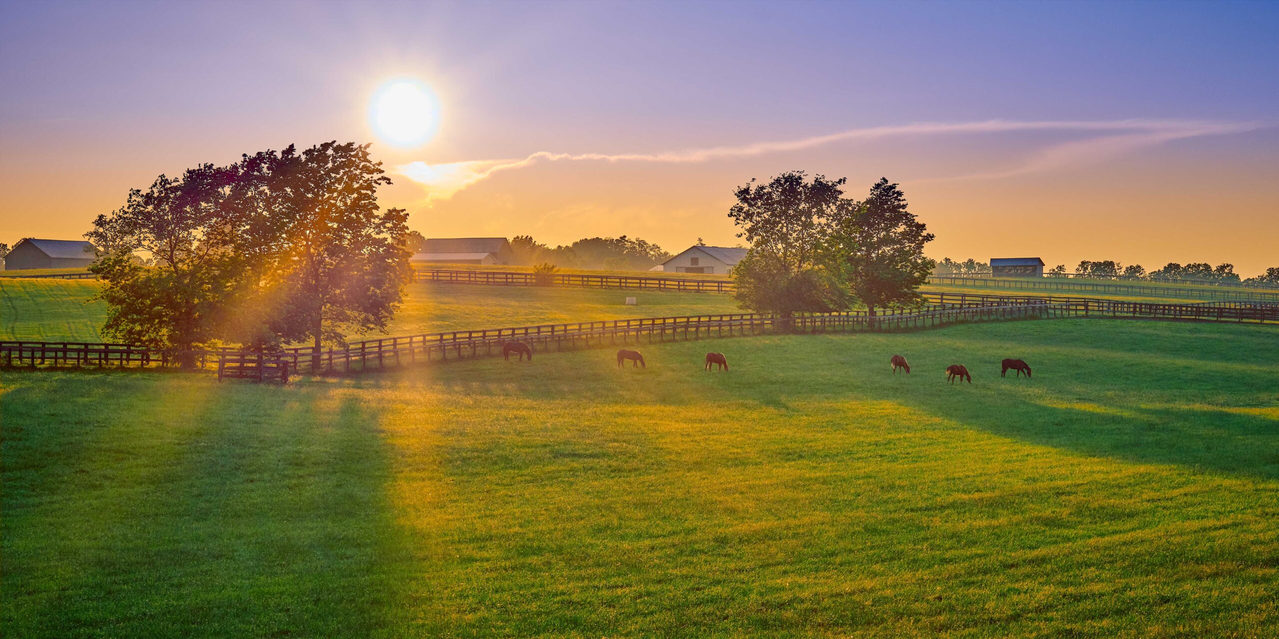 Resources - My Kentucky Mortgage